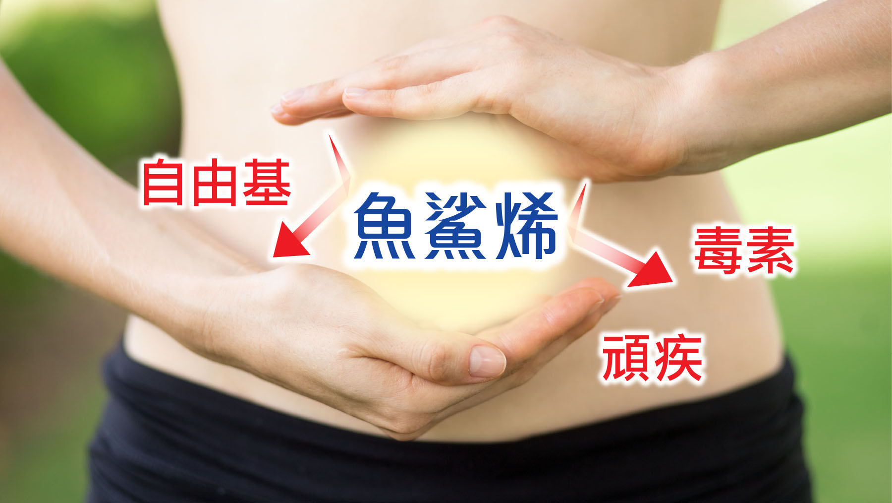 角鯊烯─疫苗採用成分 改善免疫力天然排毒 抗氧化 - squina 雪肌蘭