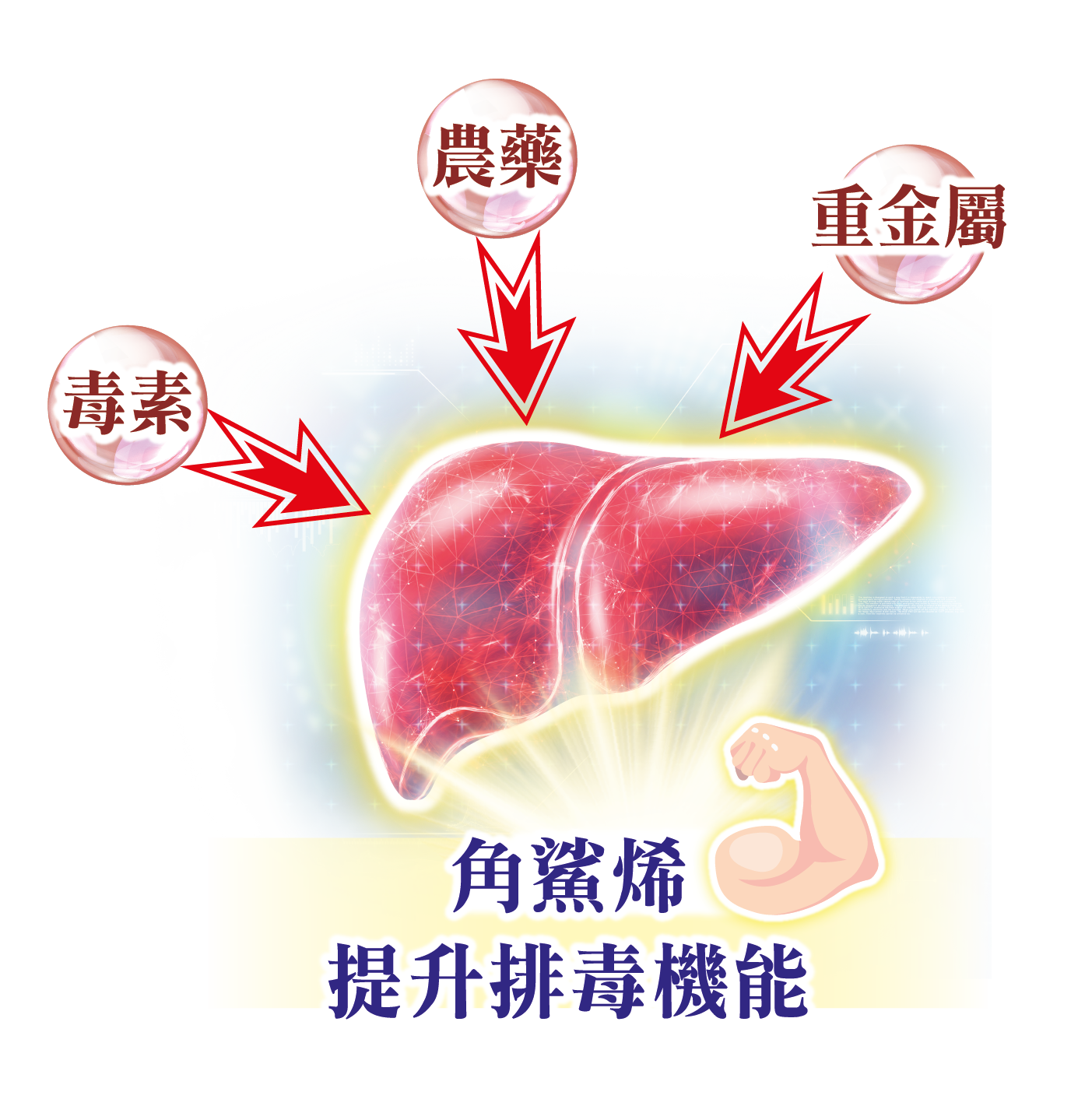 《Life生話誌》精選優惠 - squina 雪肌蘭